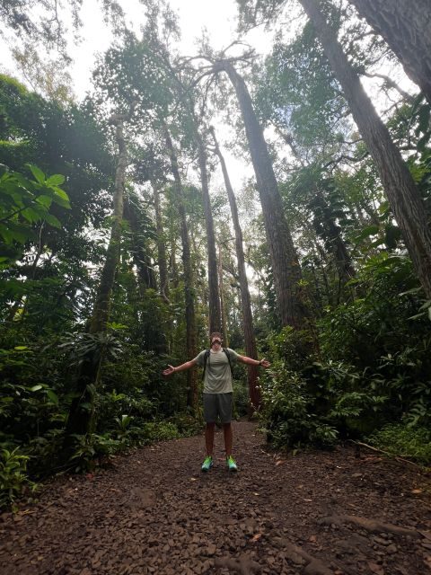 Diamond Head Manoa Falls - Key Points