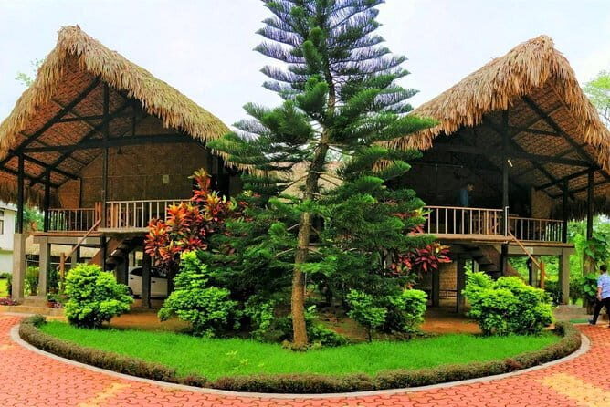 Dibrugarh Tea Tour, Singpho village with lunch, Digboi oil museum - Authenticity and Traveler Insights