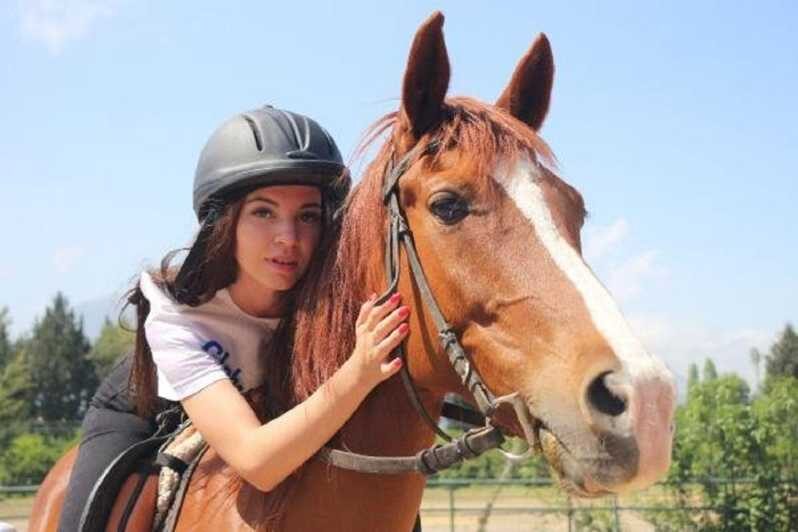 Didim Horse Safari - An Introduction to the Experience