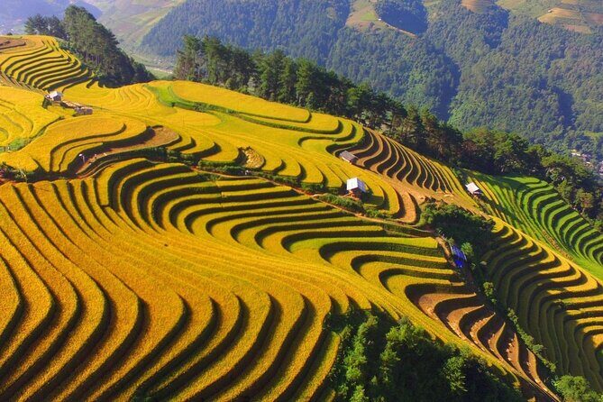 Dien Bien Phu Battlefield Discovery - Frequently Asked Questions