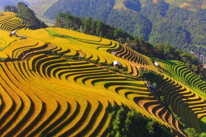 Dien Bien Phu Battlefield Exploration Tour - Is This Tour Worth It?