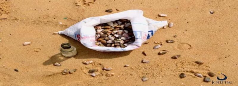 Dig, Discover & Dine Jaffnas Coastal Clam Experience - Exploring the Jaffna Coastal Clam Experience