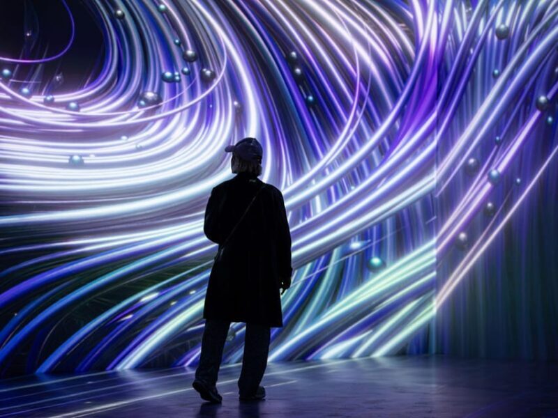 Digital Experience Museum Skip-the-Line Entry - Who Will Love This Experience?