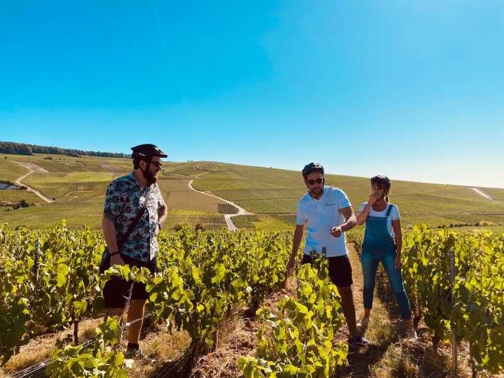 Dijon/Beaune: Full day Ebike Burgundy tour, tastings & lunch - An Honest Look at the Dijon/Beaune Full-Day E-Bike Burgundy Tour