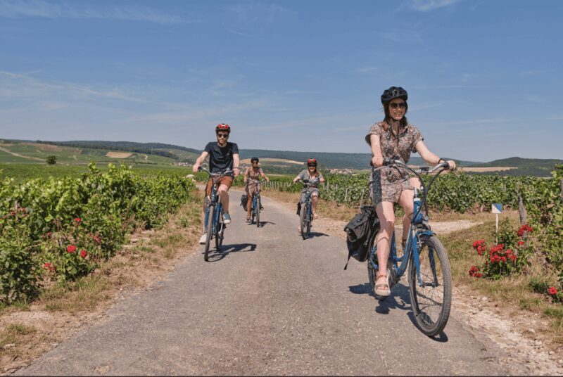 Dijon/Beaune: Full day Ebike Burgundy tour, tastings & lunch - Practical Tips for Future Travelers