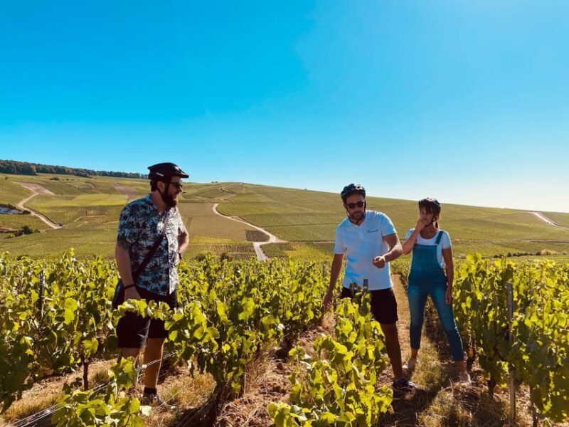 Dijon/Beaune: Full day Ebike Burgundy tour, tastings & lunch - Who Should Consider This Tour?