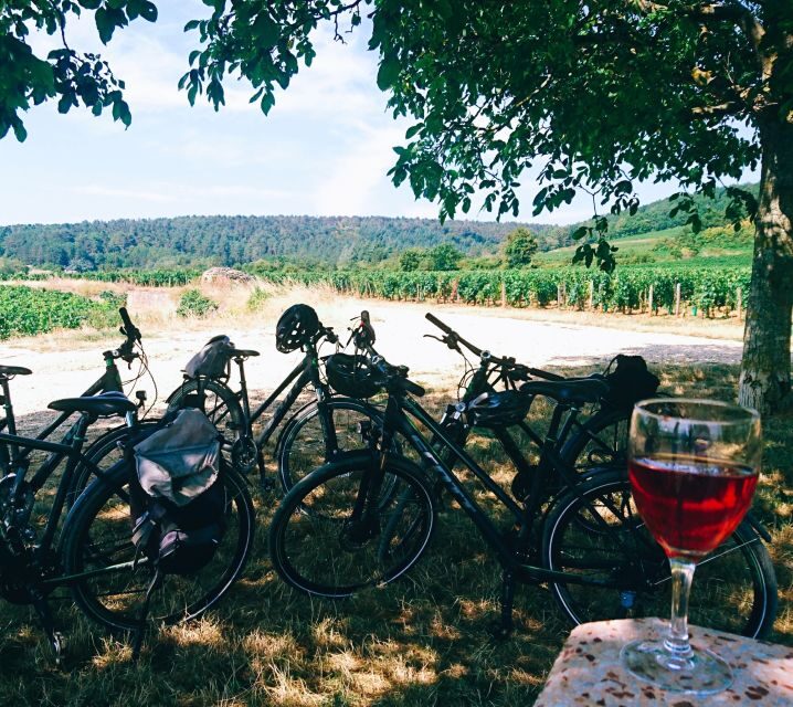 Dijon: Bike tour and Tastings in the Vineyards of Burgundy - Who is this tour best for?