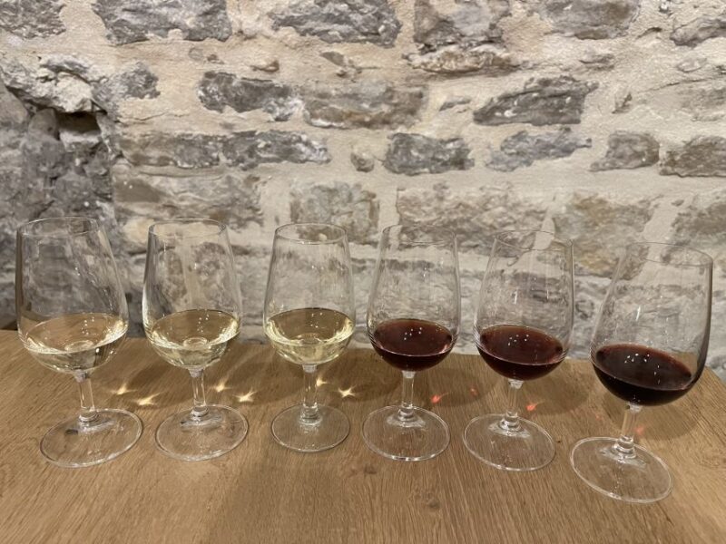 Dijon: Cheese and Burgundy Wine Tasting Workshop - Key Points
