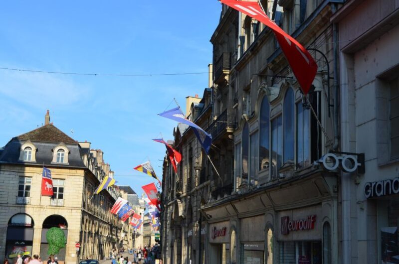 Dijon City Tour : Highlights Tour with Gourmet Break - Final Thoughts: Who Will Appreciate This Tour?