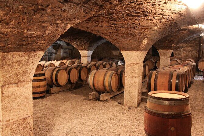 Dijon guided tour with wine tasting included ! - The Practicalities: What Travelers Should Know