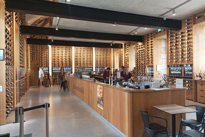 Dijon guided tour with wine tasting included ! - Is This Tour Worth Your While?