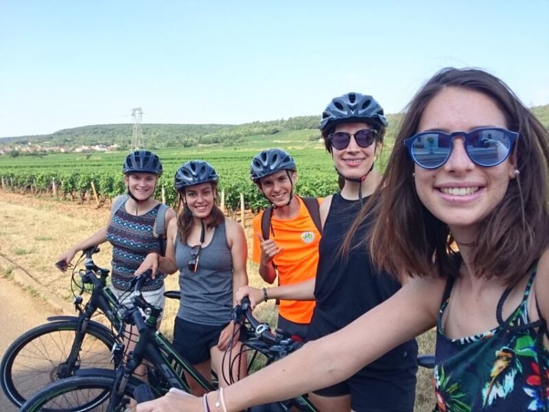 Dijon: Half-Day Guided Gourmet Bike Tour - Introduction
