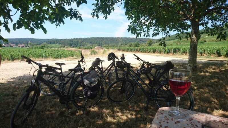 Dijon: Half-Day Guided Gourmet Bike Tour - Who Will Enjoy This Tour?
