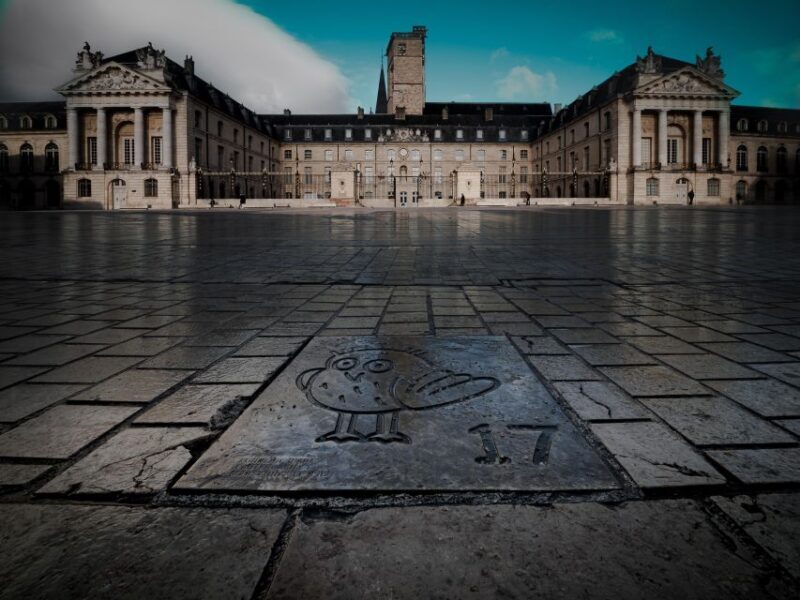 Dijon: Private Walking Tour  Discover History & Heritage - Cost and Value