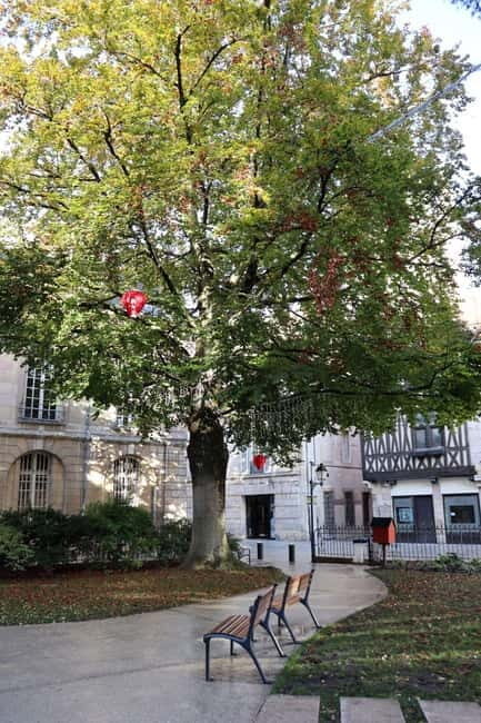Dijon: Public Art Tour with French-Speaking Guide - Practical Details and What to Expect