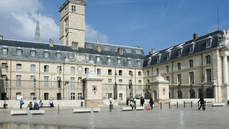 Dijon : Walking tour : On the Owl's Trail - Key Points