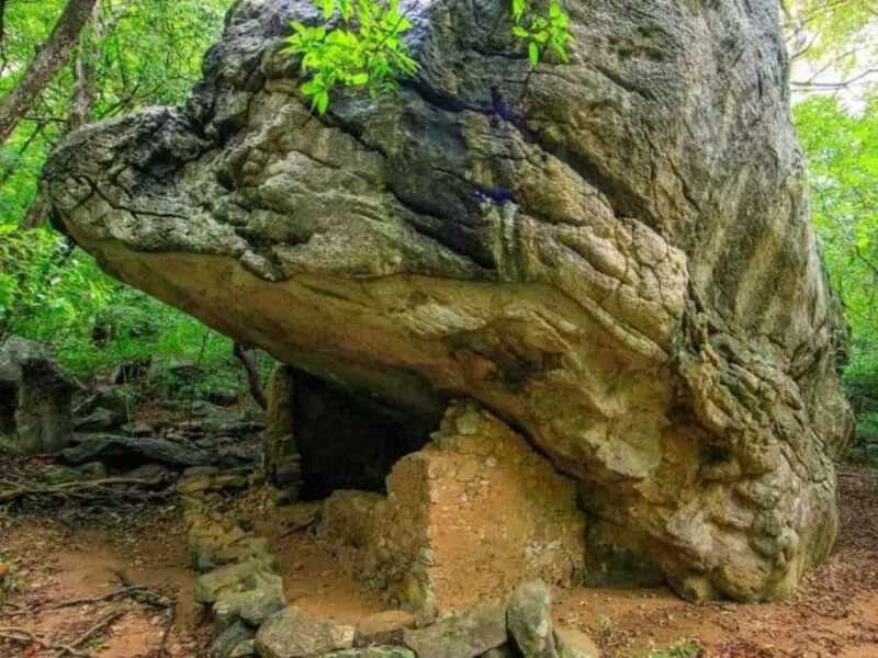 Dimbulagala Eco Trekking and Village Tour From Polonnaruwa - An In-Depth Look at the Dimbulagala Eco Trekking and Village Tour