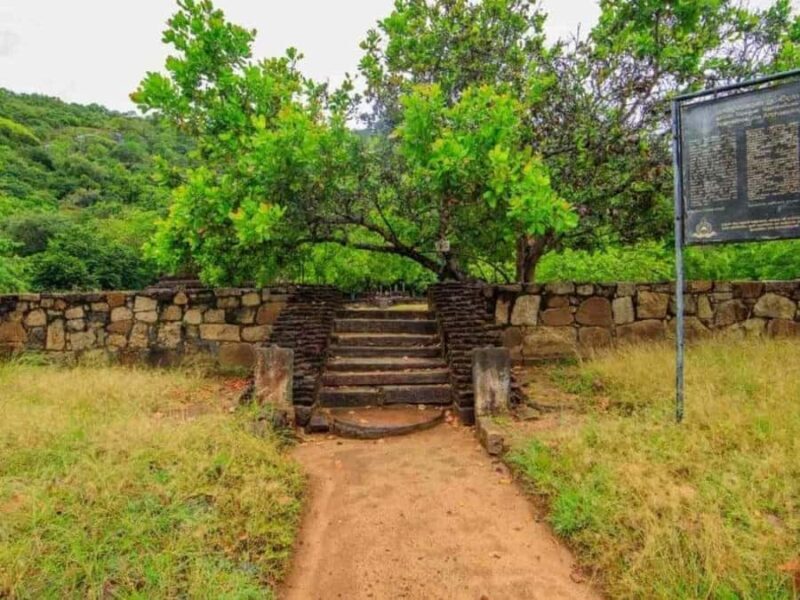 Dimbulagala Eco Trekking and Village Tour From Polonnaruwa - The Sum Up