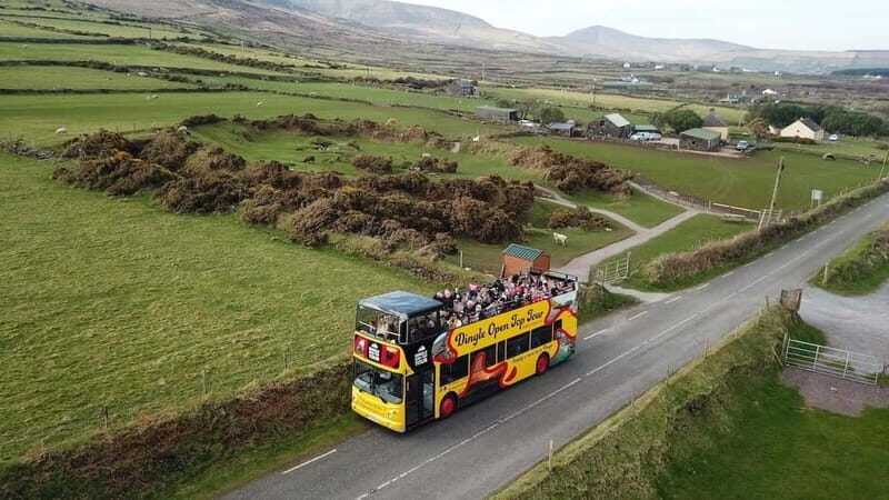 Dingle: 3 Hour Open-Top Bus Tour with Multiple Stops - The Details of the 3-Hour Scenic Dingle and Slea Head Tour