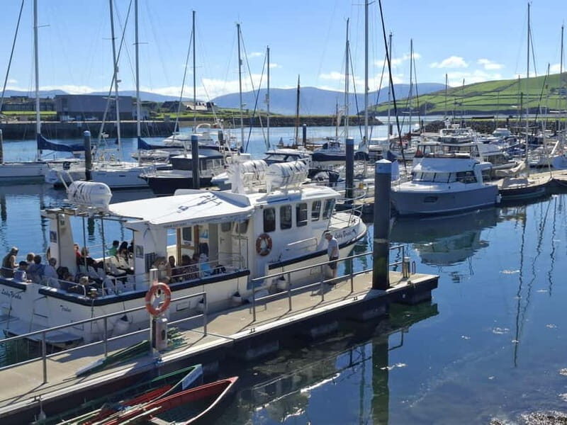 Dingle: Blasket Island Eco Tour with Wildlife Watching - Practical Details and Tips for Travelers