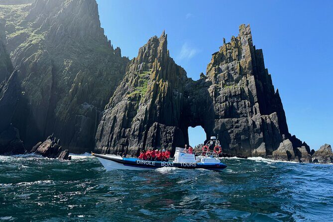 Dingle Boat Tours RIB Adventure Private - Discovering the Dingle RIB Adventure: An In-Depth Review