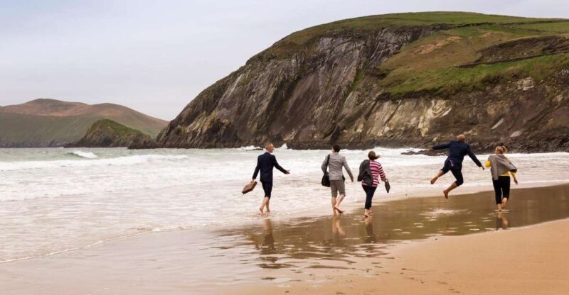 Dingle Day Tour from Limerick - A Deep Dive into the Experience