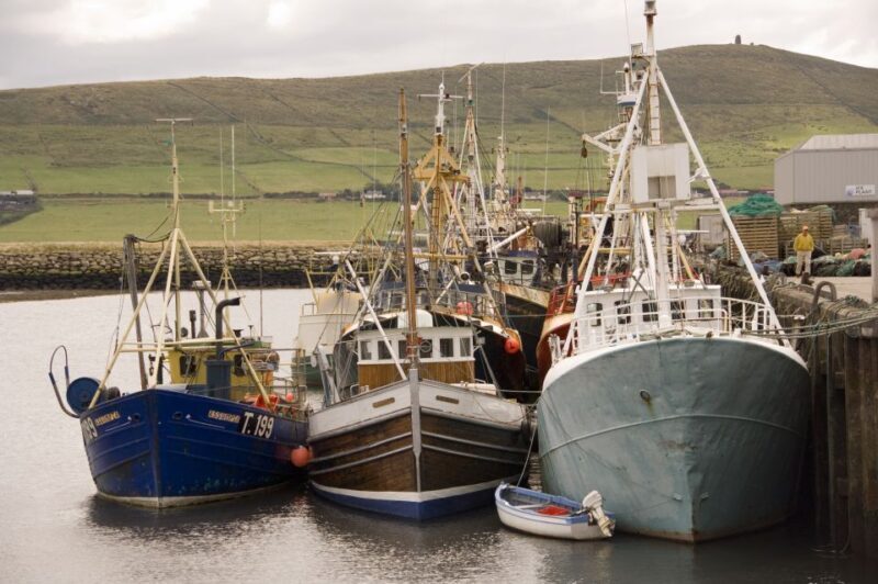 Dingle Day Tour from Limerick - FAQ