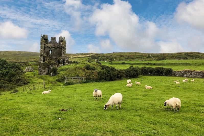 Dingle: Heritage Photo And Sightseeing Tour - Key Points
