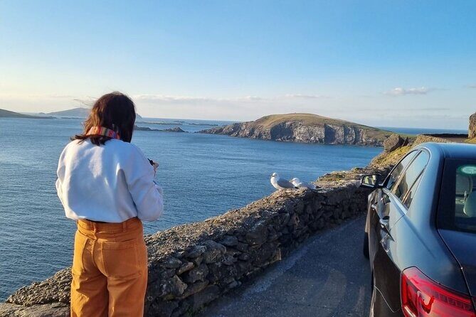 Dingle: Hour Slea Head Drive Tour 4hr - Personal Chauffeur Guide - The Sum Up