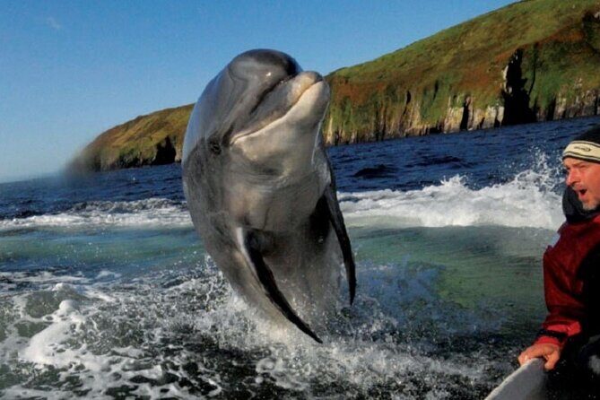 Dingle Peninsula Private Luxury Tour - What Travelers Can Expect at Each Stop