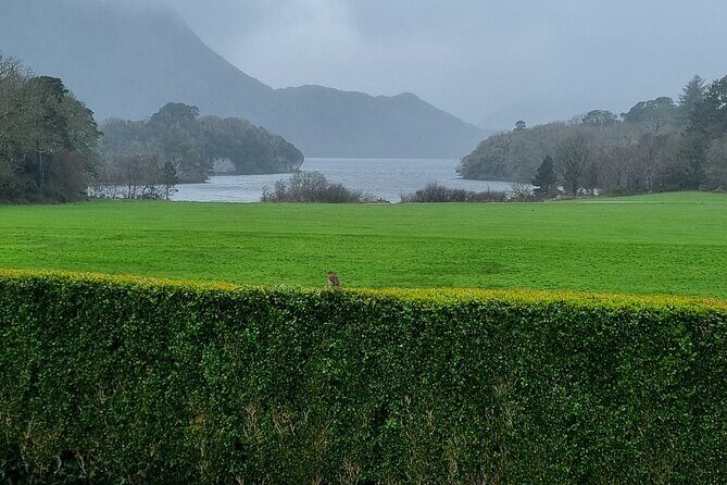 Dingle Peninsula Private Minibus Day Tour of the Fields of Gold - The Sum Up: Is It Worth It?