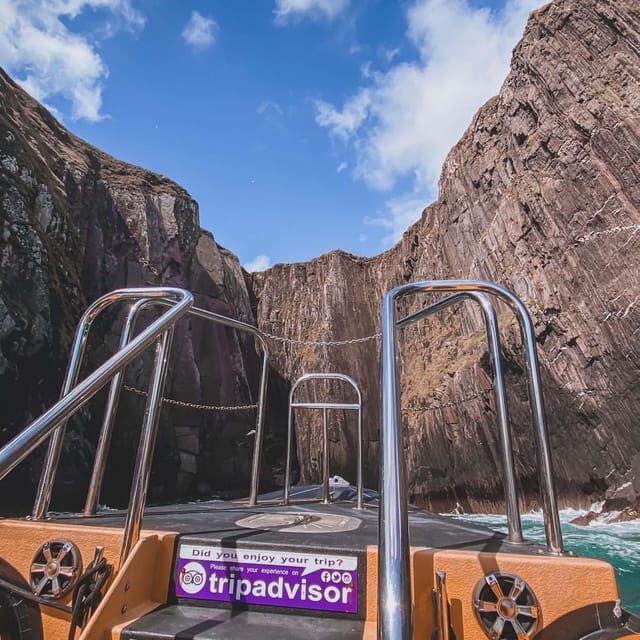 Dingle: Sea Safari by RIB Boat - Key Points