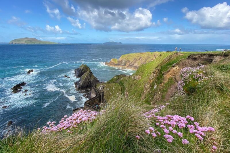 Dingle: Slea Head Photo And Sightseeing Tour - Who Will Love This Tour?