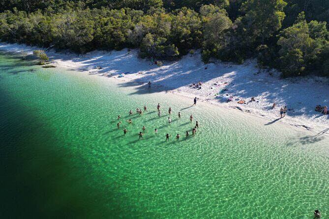 Dingos 2 Day K'Gari (Fraser Island) 4WD Tag-Along Tour - Introduction: An Adventure Into K’gari (Fraser Island)