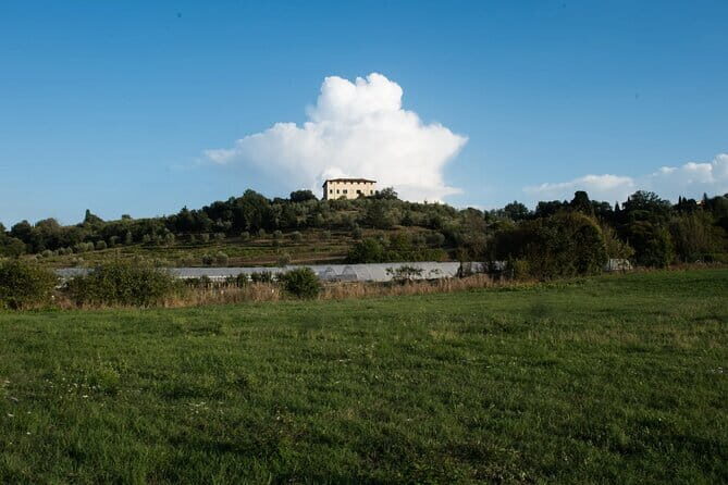 Dining Experience in a 13th-Century Monastery in Florence - The Culinary Highlights
