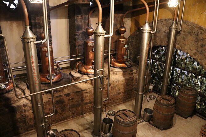 Dinner and Party in Amatitán Tequila and Tradition and Music - Experience the Best of Tequila, Gastronomy, and Culture in Guadalajara