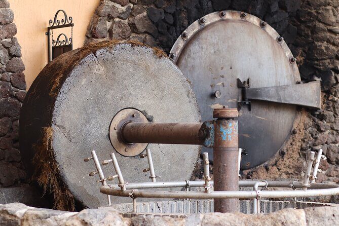 Dinner and Party in Amatitán Tequila and Tradition and Music - A Closer Look at the Tour Experience
