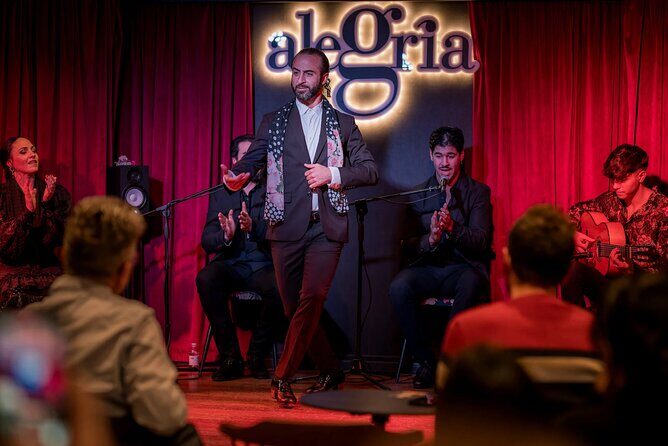 Dinner and Show at Alegría Flamenco & Restaurant in Malaga - Who Will Enjoy This Experience?