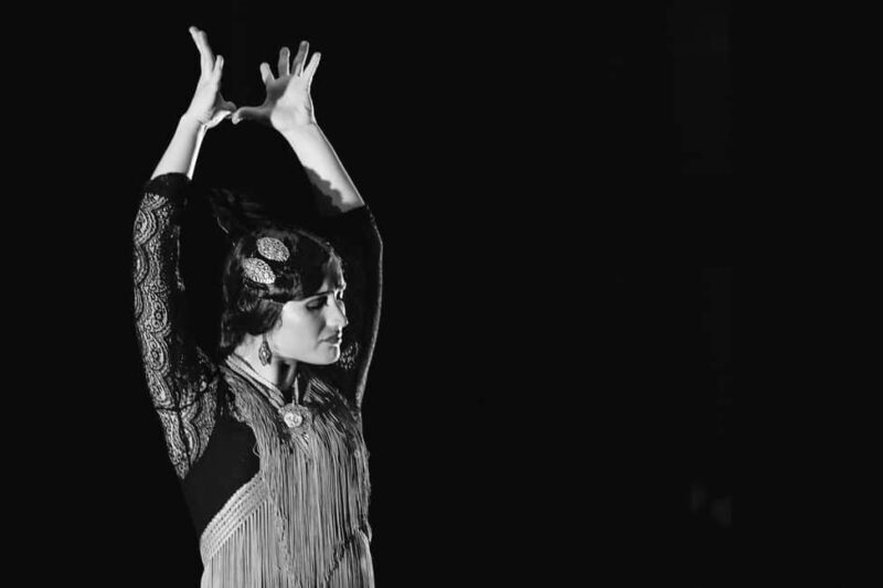 Dinner and UNESCO-protected flamenco show, in a private van from Alicante - An Authentic Flamenco and Dinner Experience in Alicante