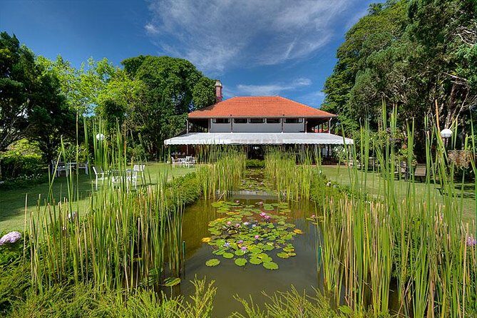 Dinner at Penang Hill Including Train Ride - A Deep Dive Into the Experience