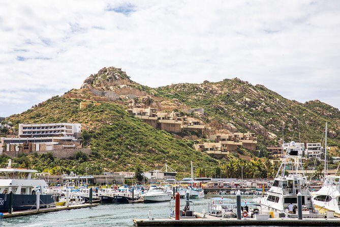 Dinner Cruise Tour in Cabo San Lucas with Tequila Tasting - Final Thoughts: Who Should Consider This Tour?