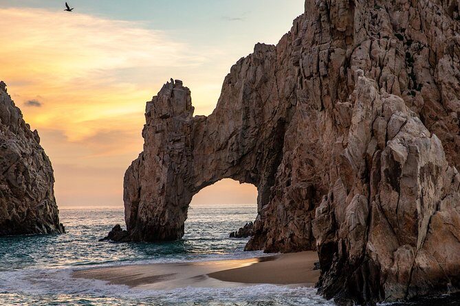 Dinner Cruise Tour in Cabo San Lucas with Tequila Tasting - Frequently Asked Questions