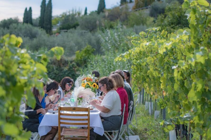 Dinner in the vineyard French Riviera - The Sum Up