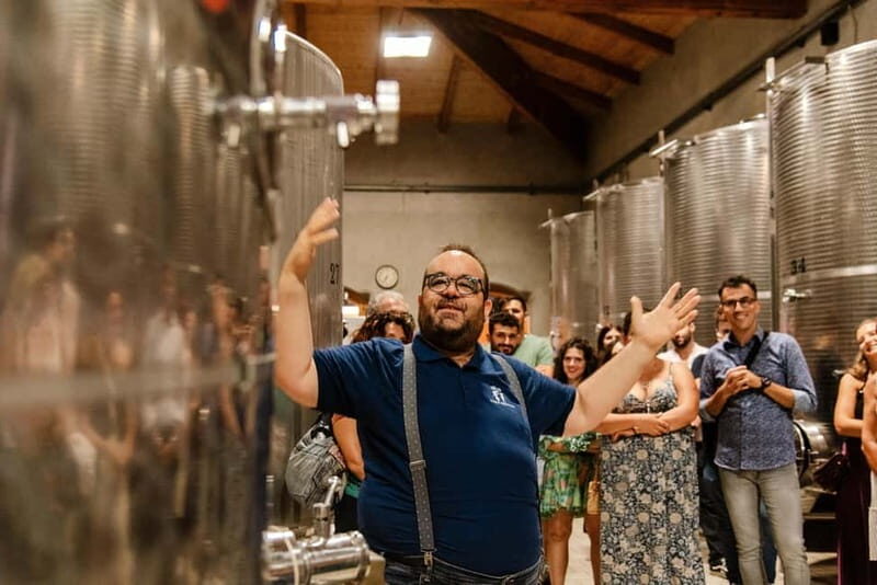 Dinner in the vineyard in Alba with wine tasting aperitif and winery tour - Discover the Charm of a Vineyard Dinner in Alba with Wine Tasting