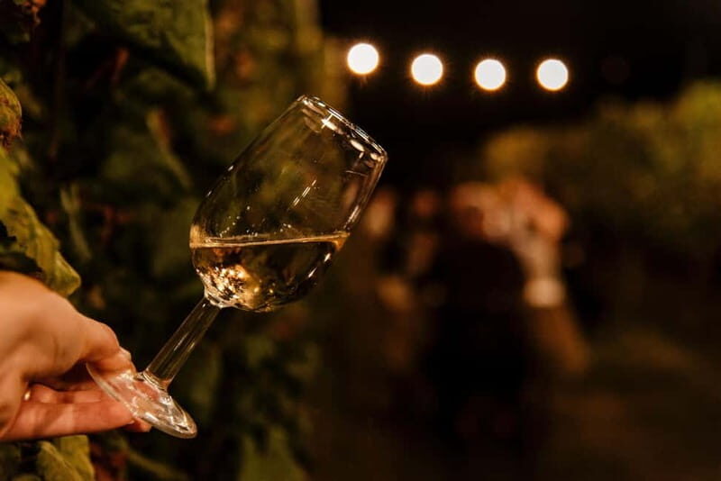 Dinner in the vineyard in Alba with wine tasting aperitif and winery tour - Authentic, Value-Driven, and Memorable