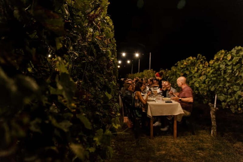 Dinner in the vineyard in Alba with wine tasting aperitif and winery tour - Who Should Book This Tour?
