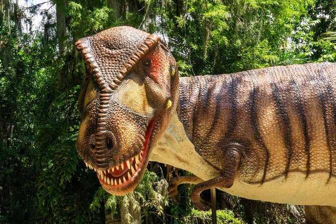 Dinosaur World Glen Rose - Train Ride and Play Areas: More Than Just a Dinosaur Museum