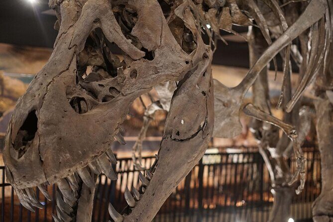 Dinosaur World Theme Park - Value for Money: Is It Worth It?