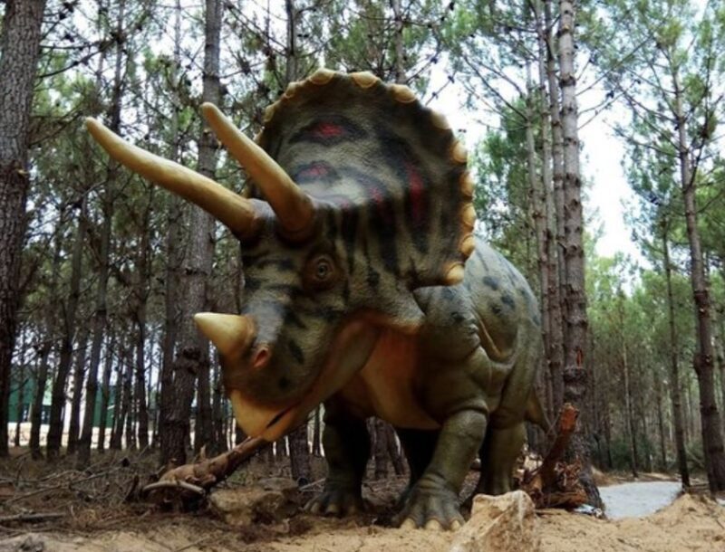 Dinosaurs Park - Family Half day tour - Key Points
