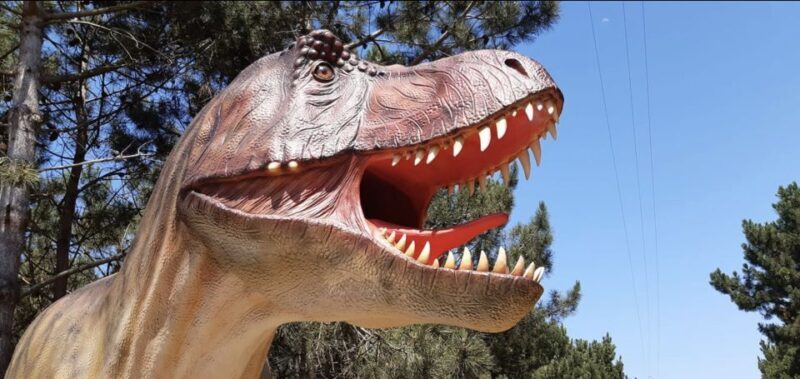Dinosaurs Park - Family Half day tour - Why This Tour Works